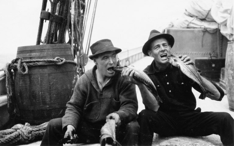 A Closer Look: The Real McCoy | New England Living