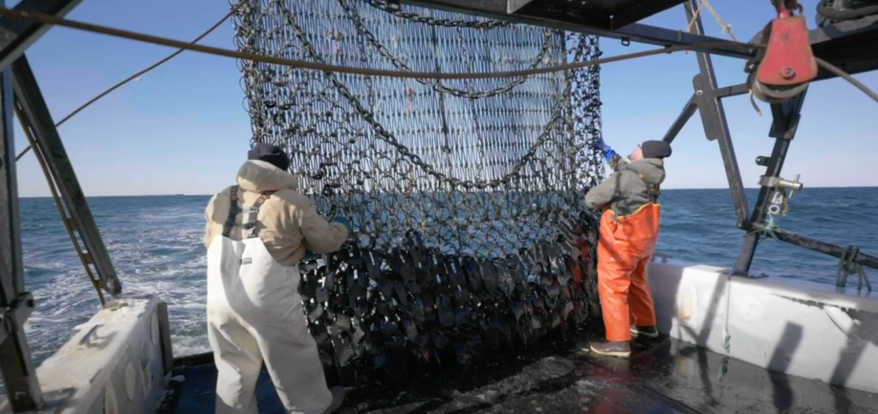 New England Living Tv | New England Living