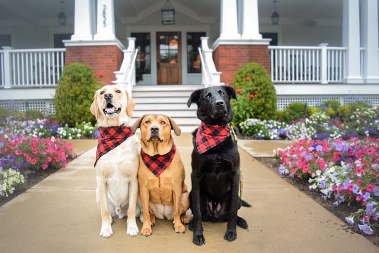 New England Living | New England Living