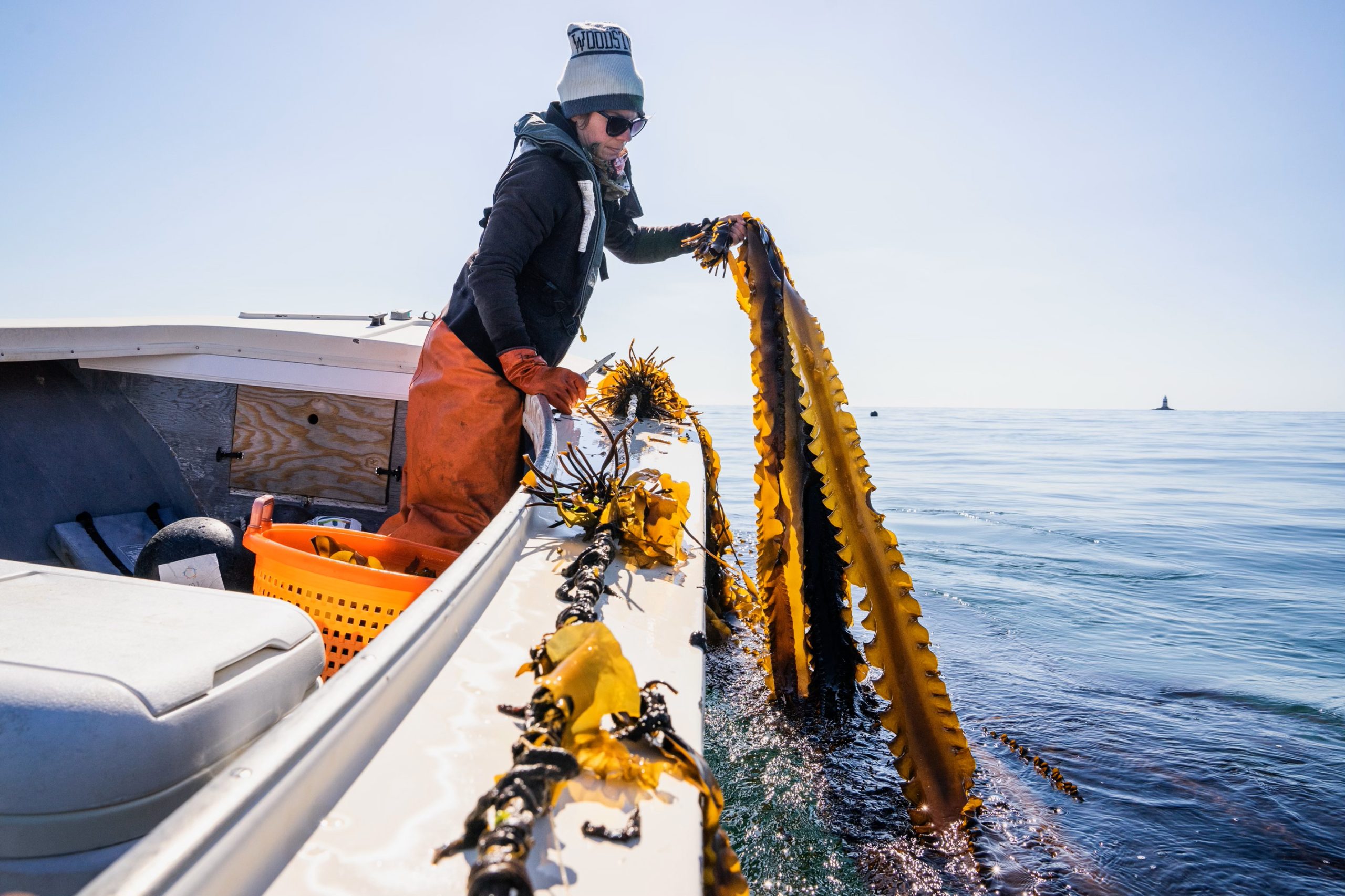 With a Little Kelp from your Friends