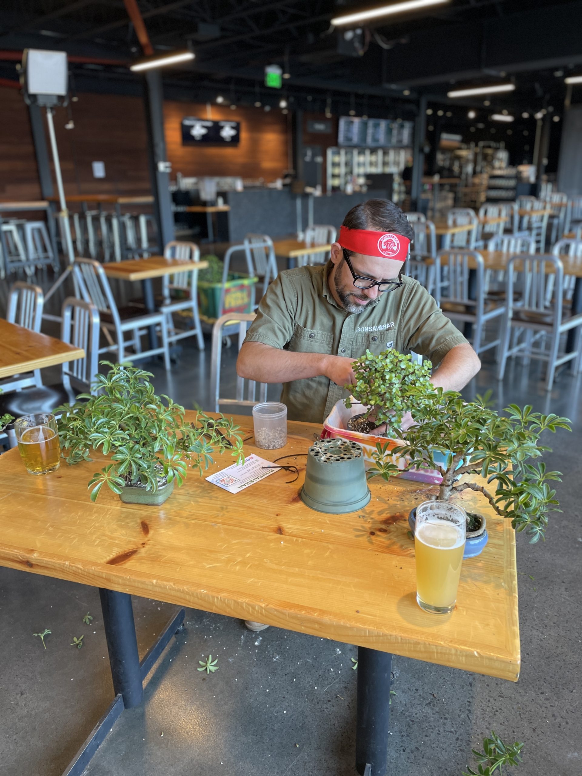 Bonsai Bar