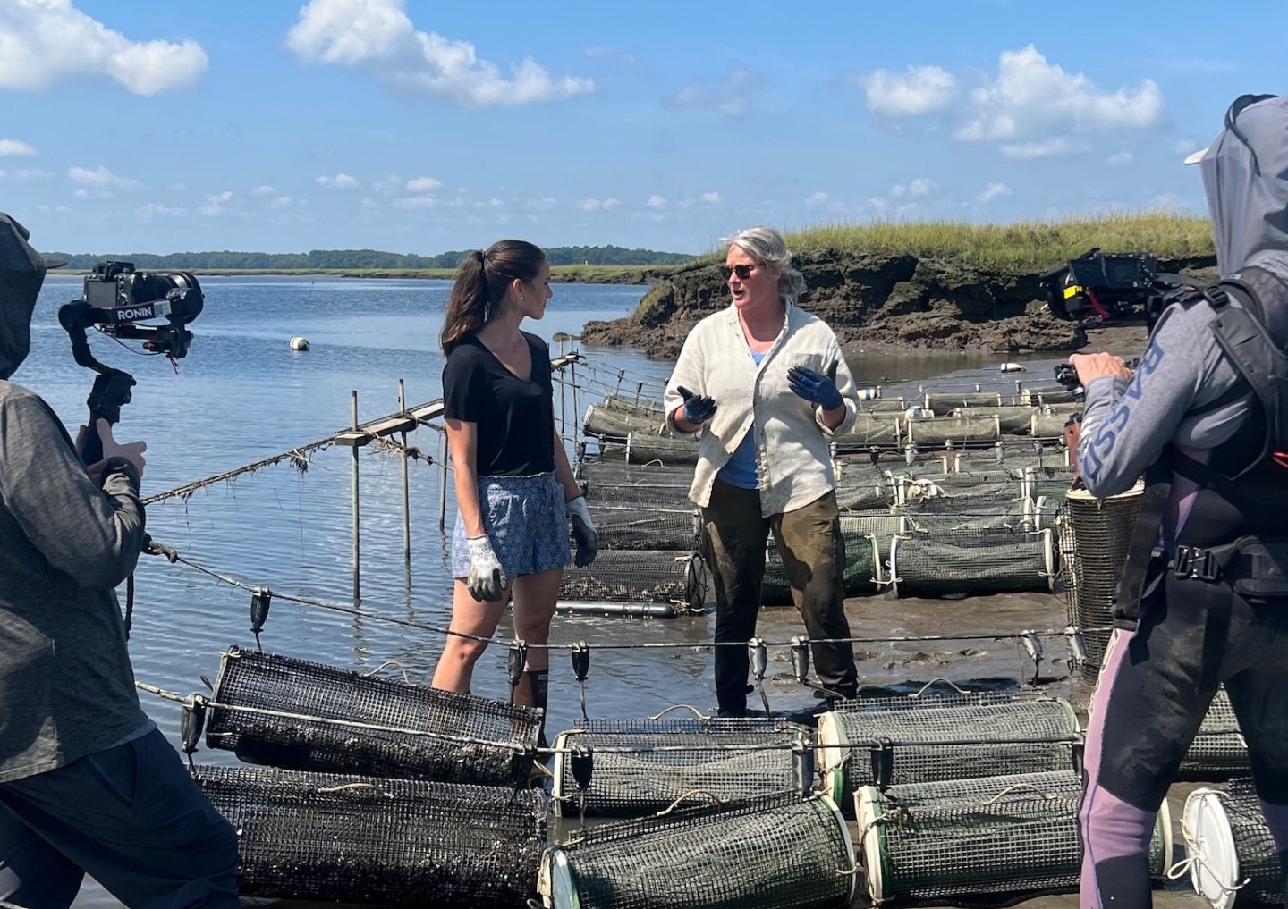 Great Marsh Shellfish Company