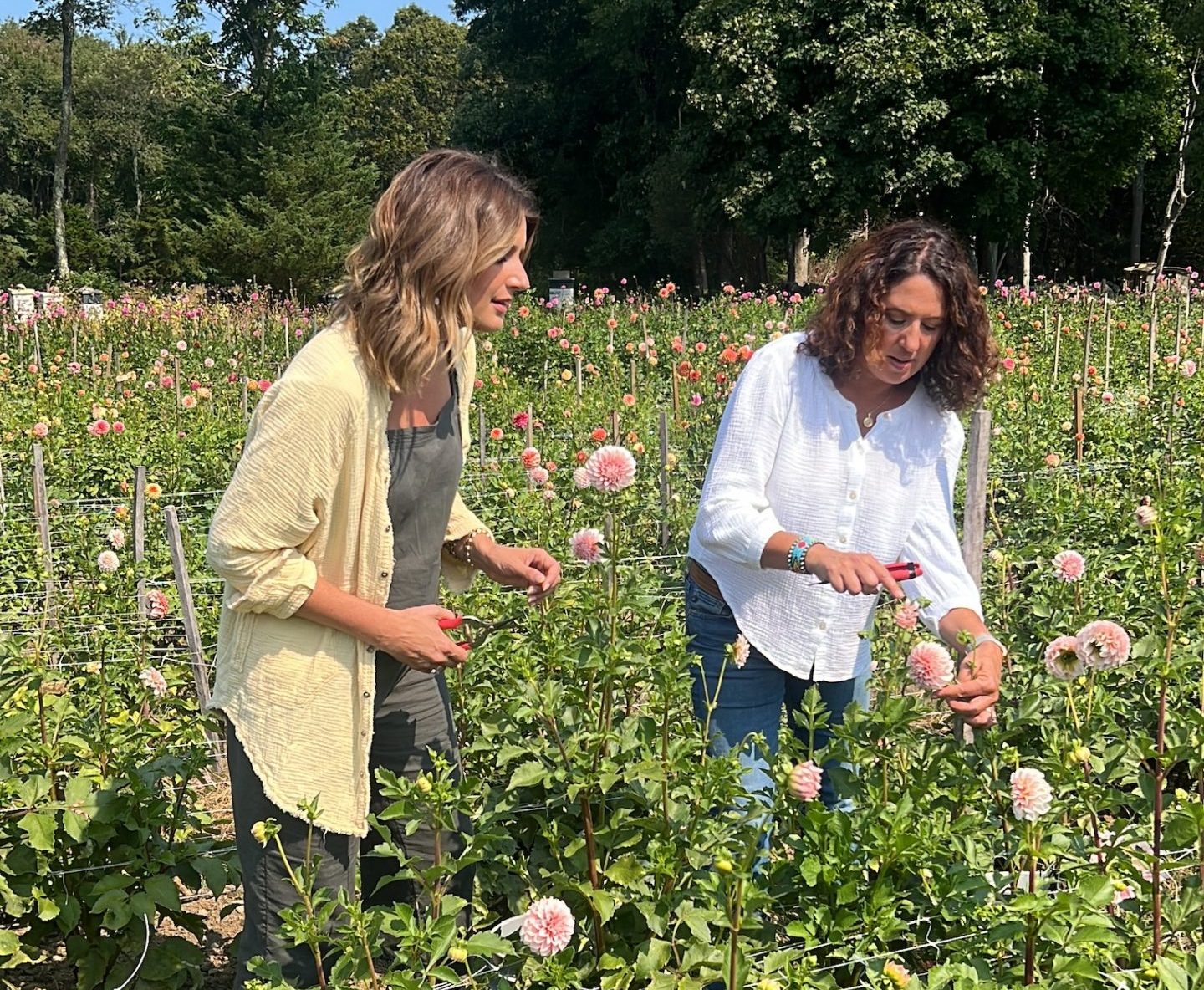 Cross Street Flower Farm