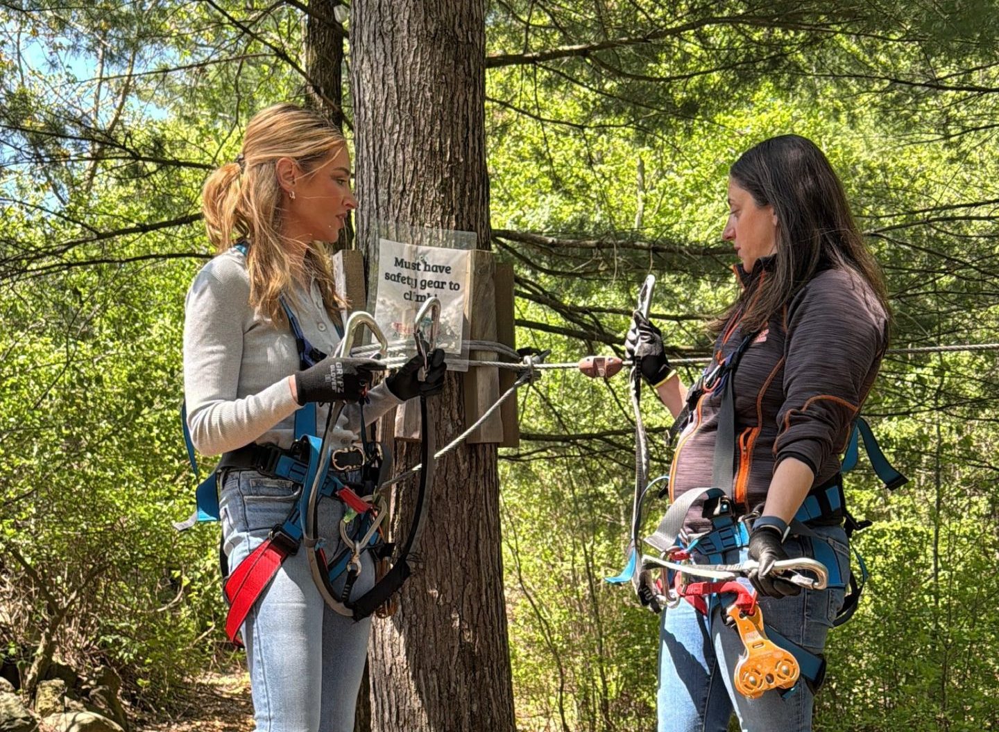 Treetop Adventures